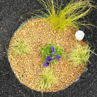 Water & Wastewater Treatment - Komline